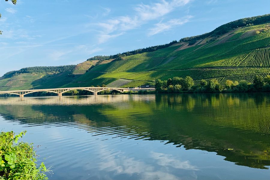 Weinwanderung und Wein Verkostung Mittelmosel Longuich
